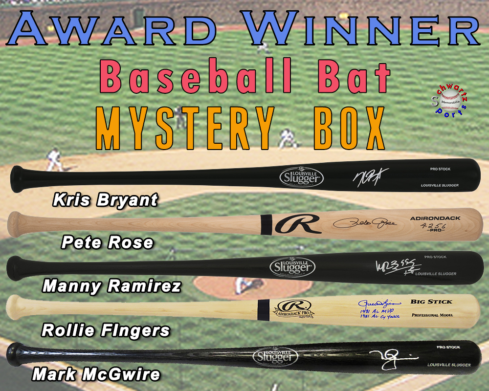 Baseball Award Winner Signed Full Size Bat Mystery Box – Series 12 ...
