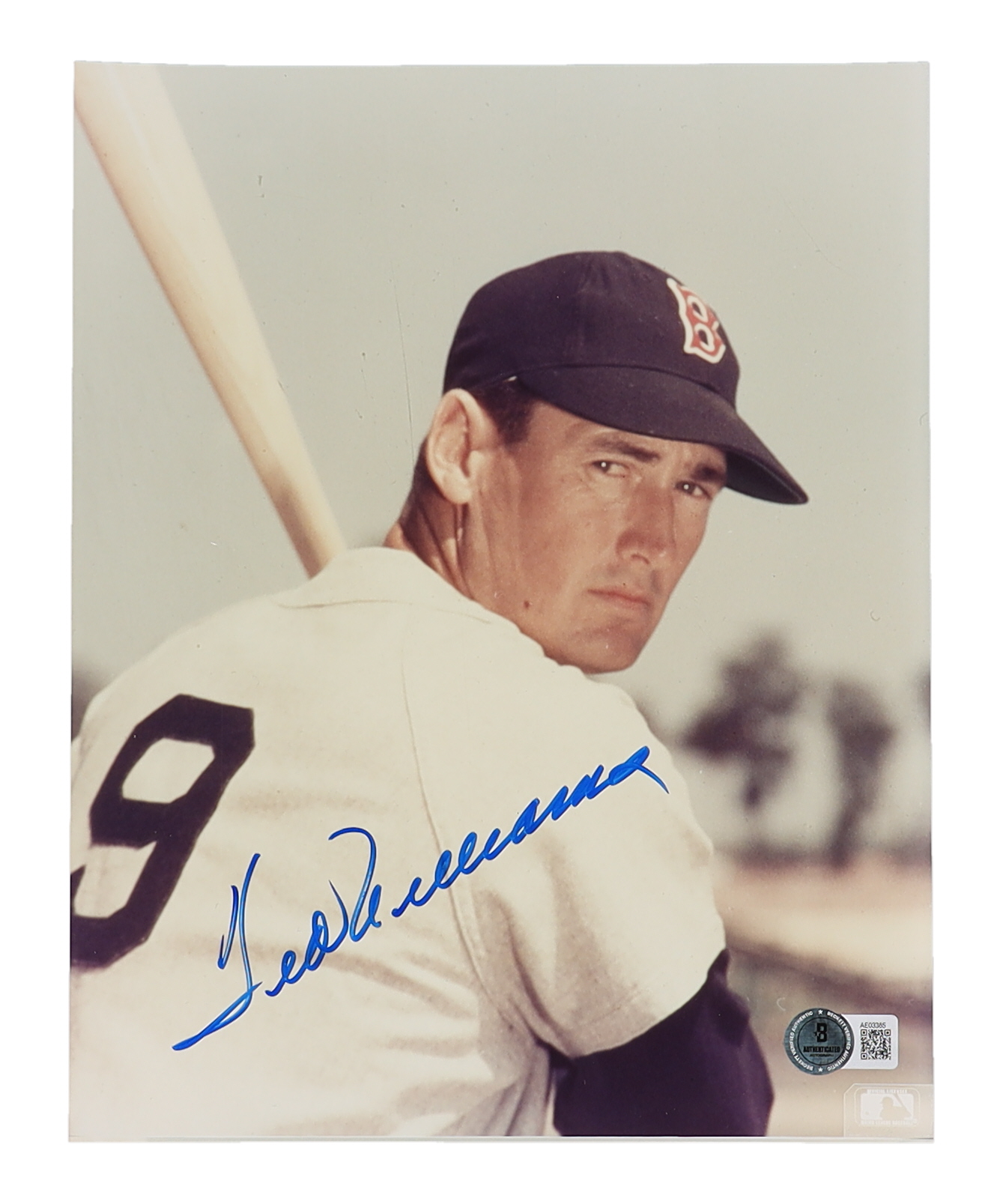 Ted Williams Signed Red Sox 8x10 Photo (Beckett) | Pristine Auction