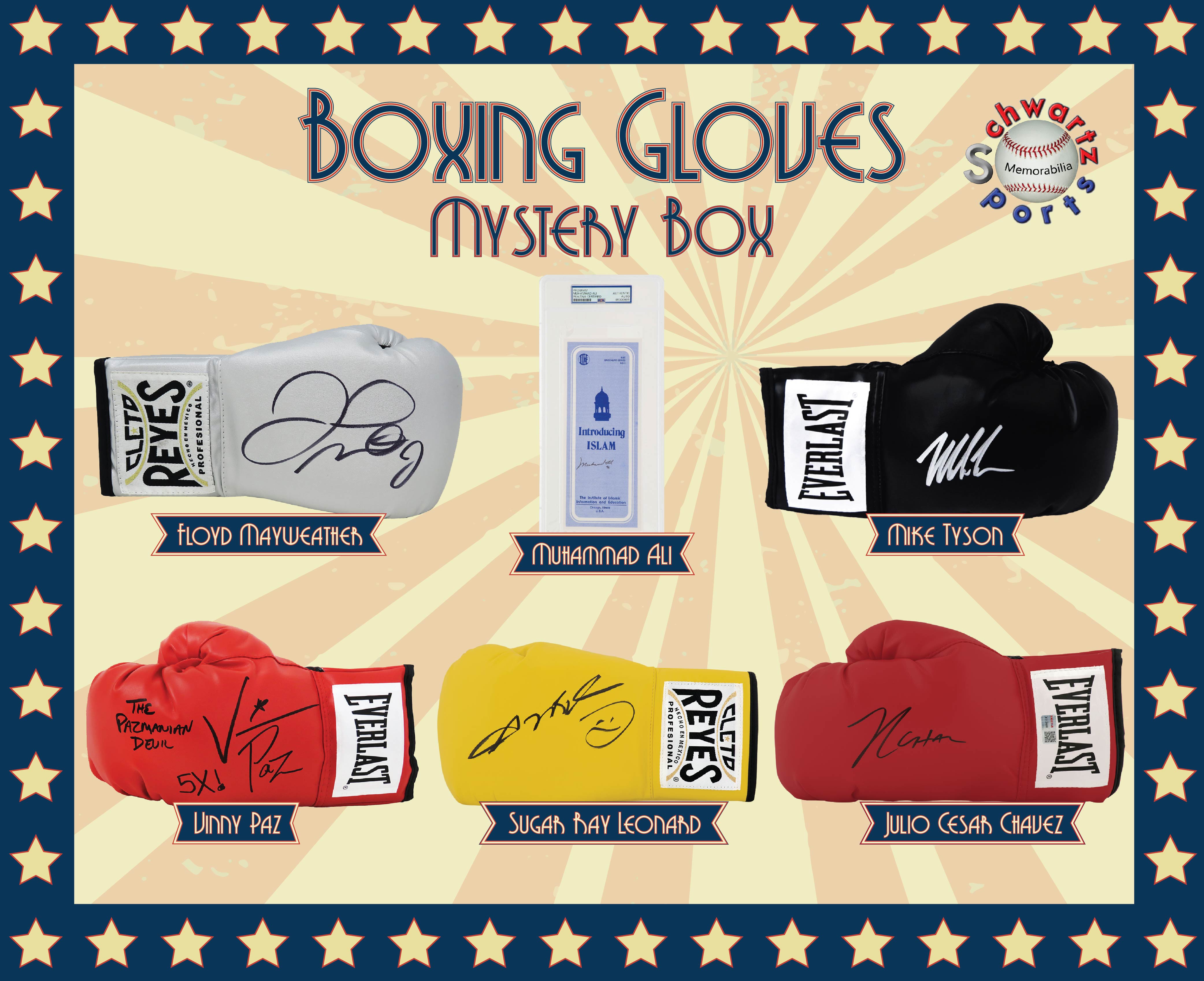 Boxing Glove Signed Mystery Box - Series 24 (Limited to 100) – Schwartz ...