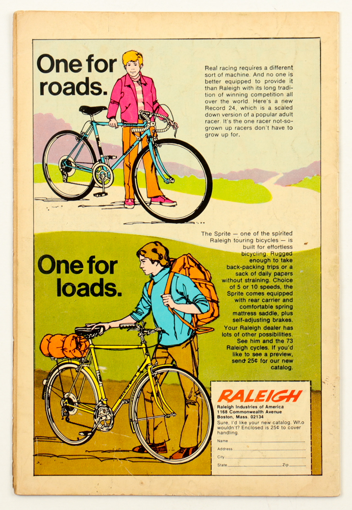 1973 "Batman" Issue #252 DC Comic Book | Pristine Auction