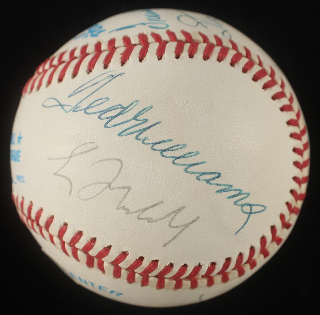 Baseball Legends OAL Baseball Signed by (12) With Ted Williams, Greg ...