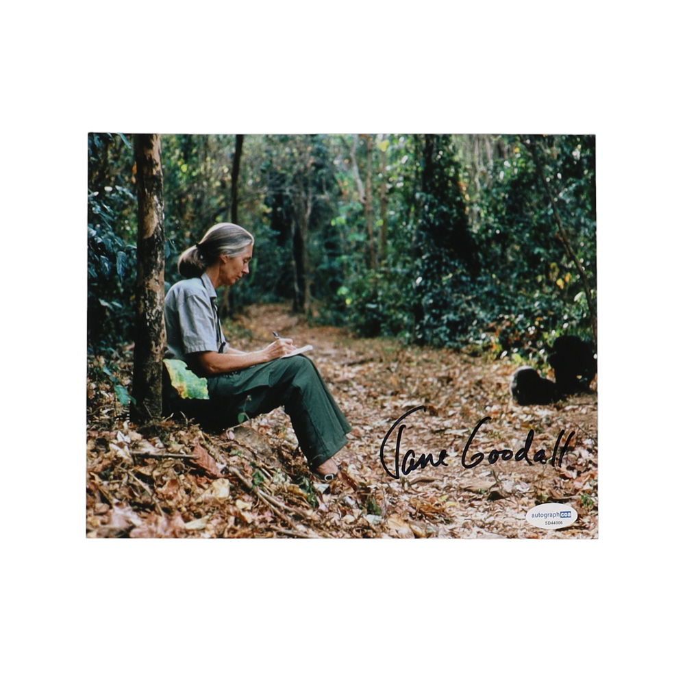Jane Goodall Signed 8x10 Photo (AutographCOA) | Pristine Auction