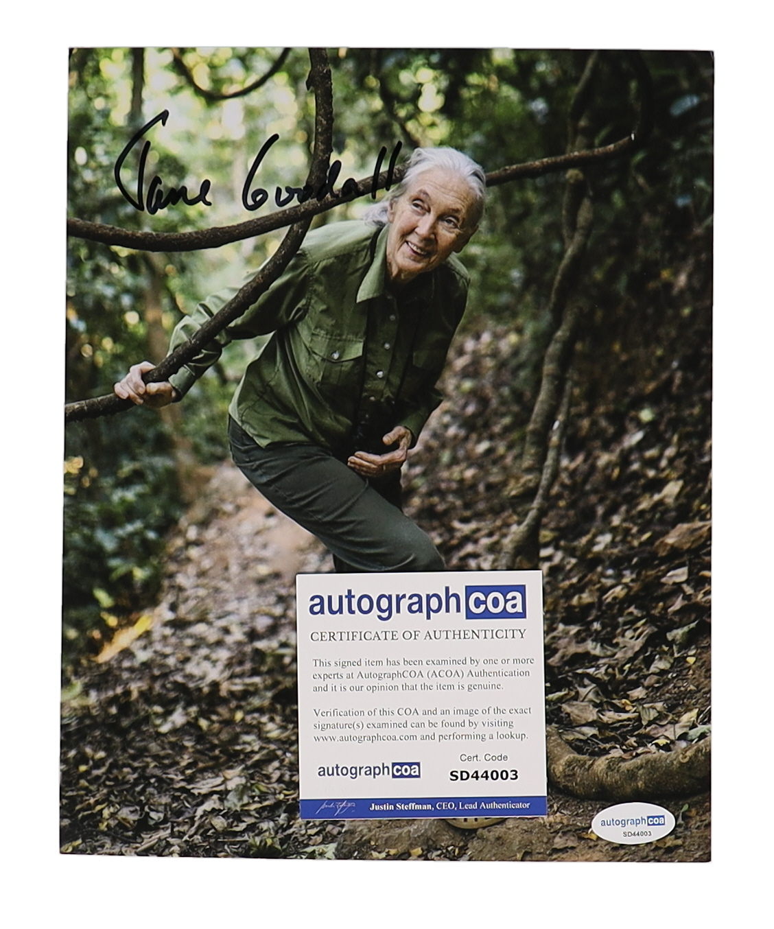 Jane Goodall Signed 8x10 Photo (AutographCOA) | Pristine Auction