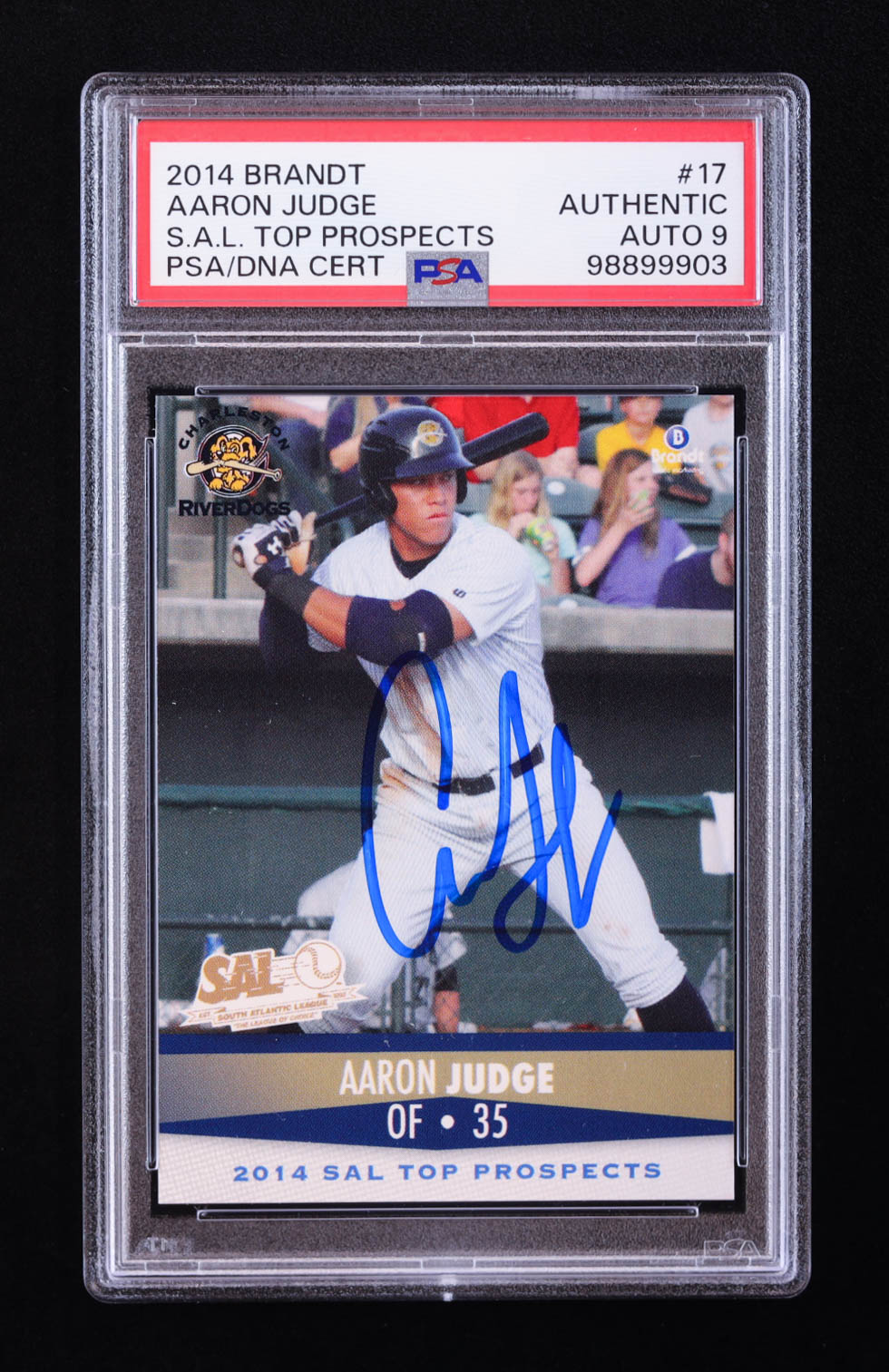 Aaron Judge Signed 2014 South Atlantic Top Prospects Brandt #17 RC (PSA ...