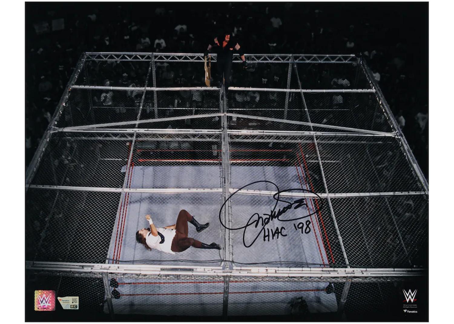 Mick Foley Signed WWE 16x20 Photo Inscribed "HIAC '98" (Fanatics ...