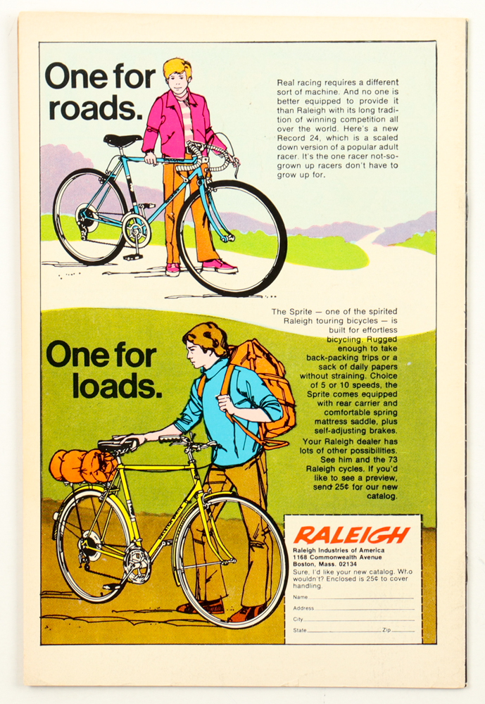 1973 "Batman" Issue #252 DC Comic Book | Pristine Auction