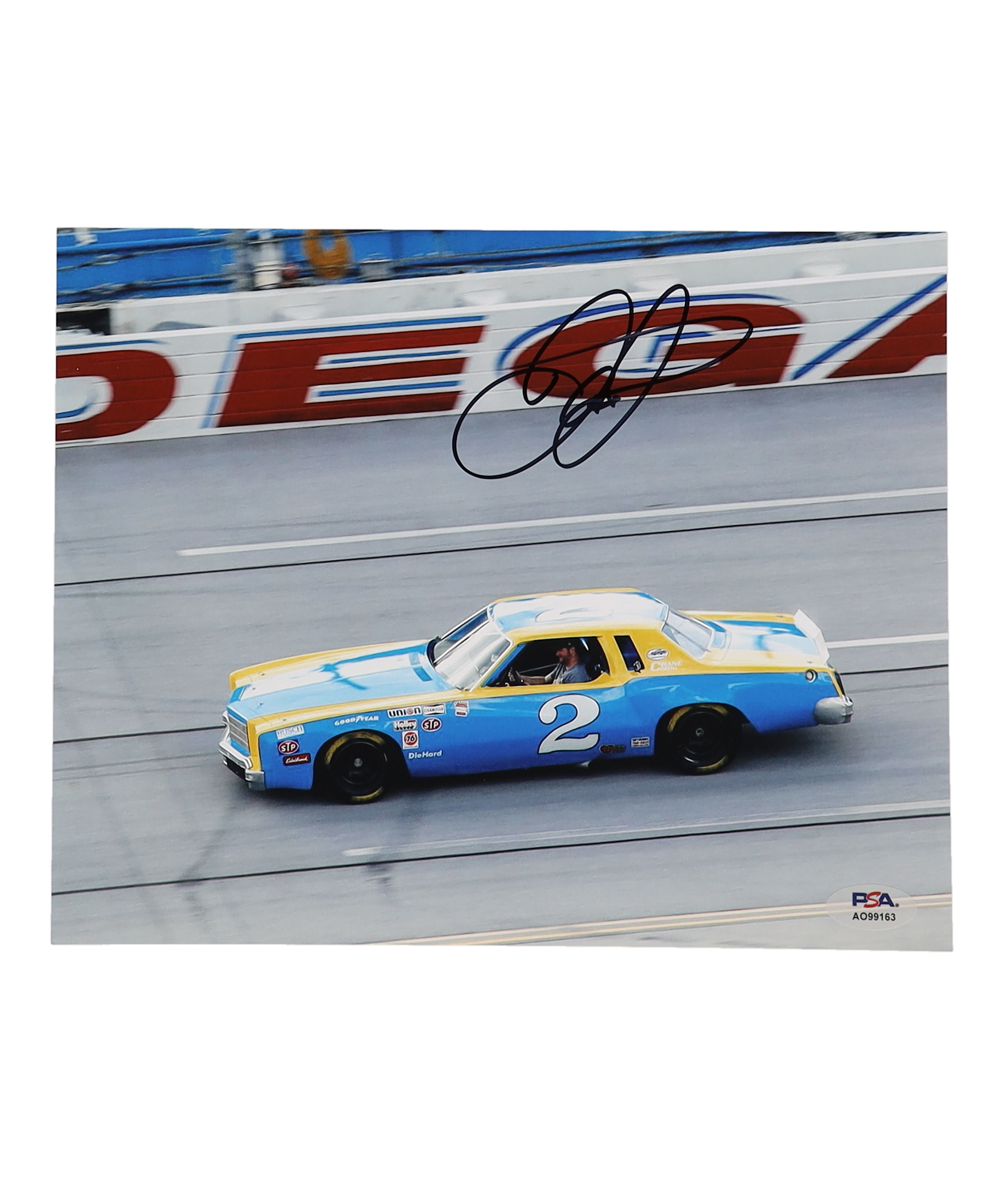Dale Earnhardt Jr Signed NASCAR 8x10 Photo (PSA) | Pristine Auction