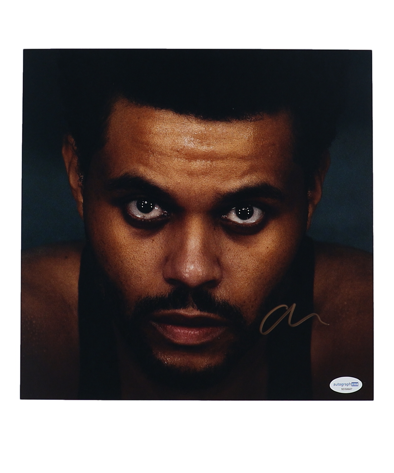 The Weeknd Signed "Hurry Up Tomorrow" Vinyl Album Insert (AutographCOA ...