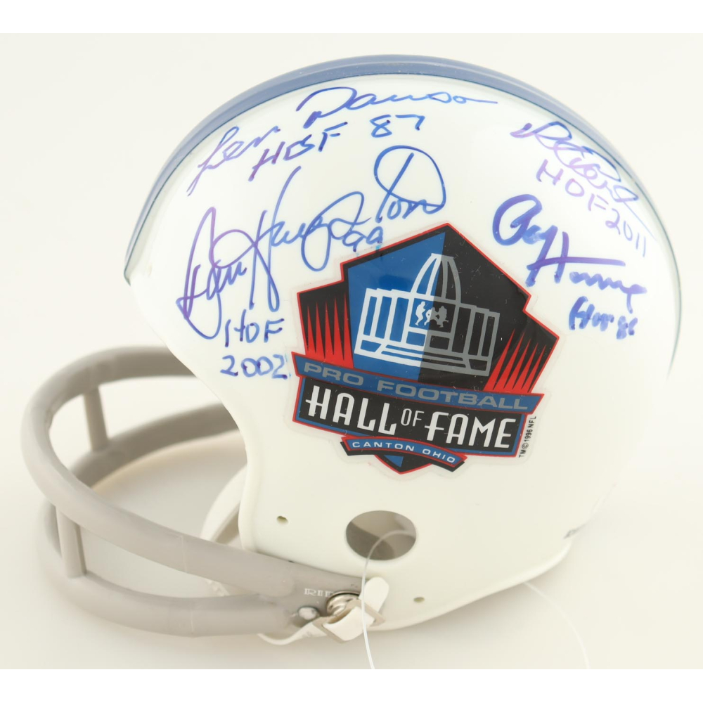 Hall of Fame Logo Mini Helmet Signed by (7) with Paul Hornung, Len ...