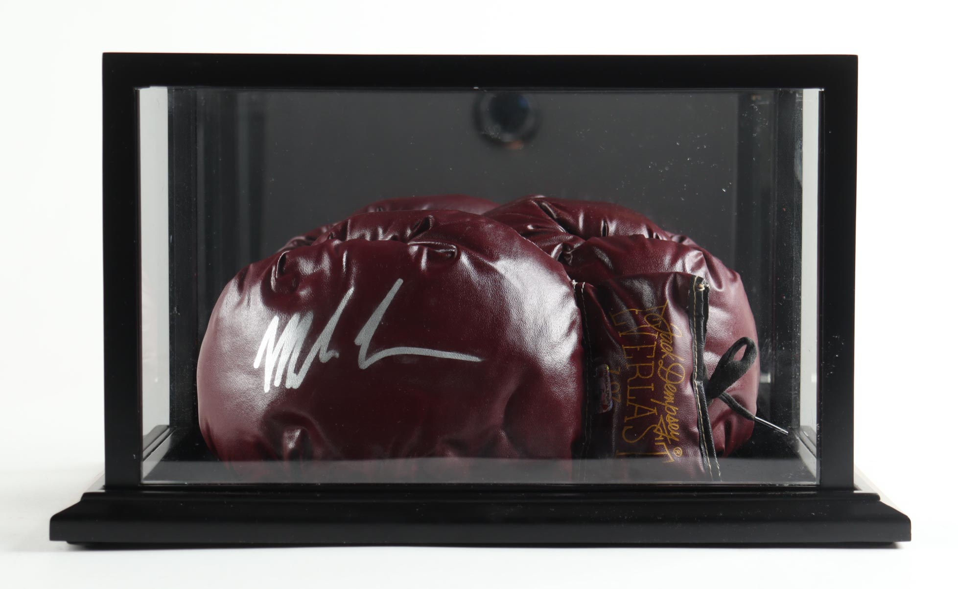 Mike Tyson Signed Pair Of Vintage Jack Dempsey Model Boxing Gloves ...