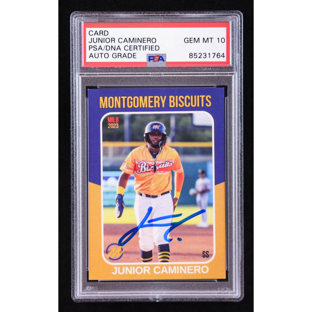 Junior Caminero Signed Minor League Card (PSA | Auto 10) | Pristine Auction