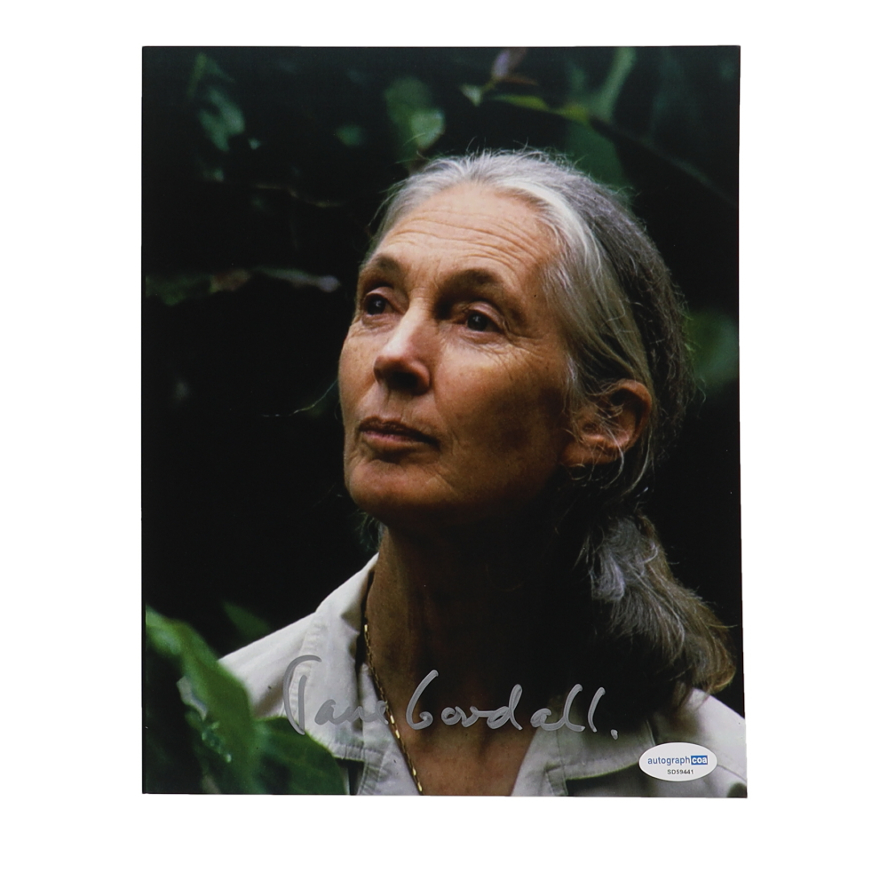 Jane Goodall Signed 8x10 Photo (AutographCOA) | Pristine Auction