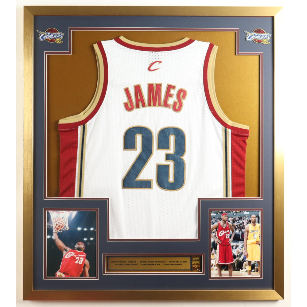 Lebron James Custom Framed Jersey Display With 2016 Metal Championship ...