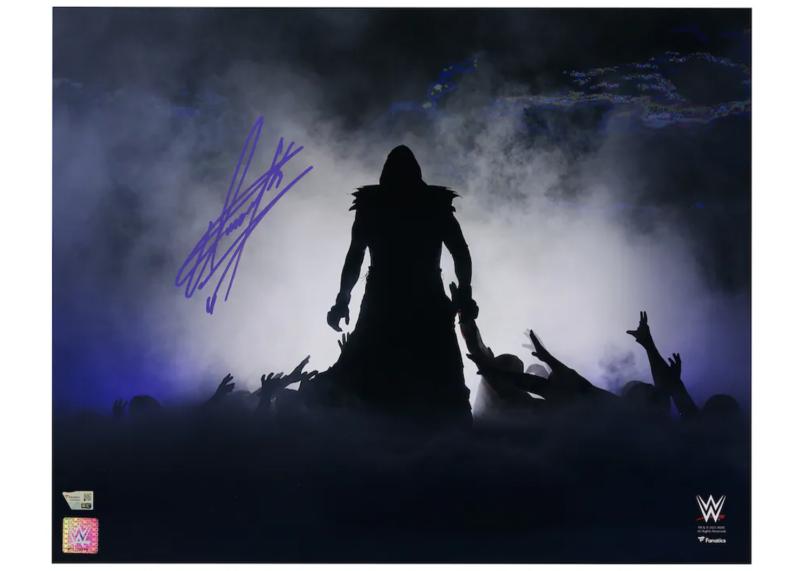 The Undertaker Signed WWE 16x20 Photo (Fanatics) | Pristine Auction
