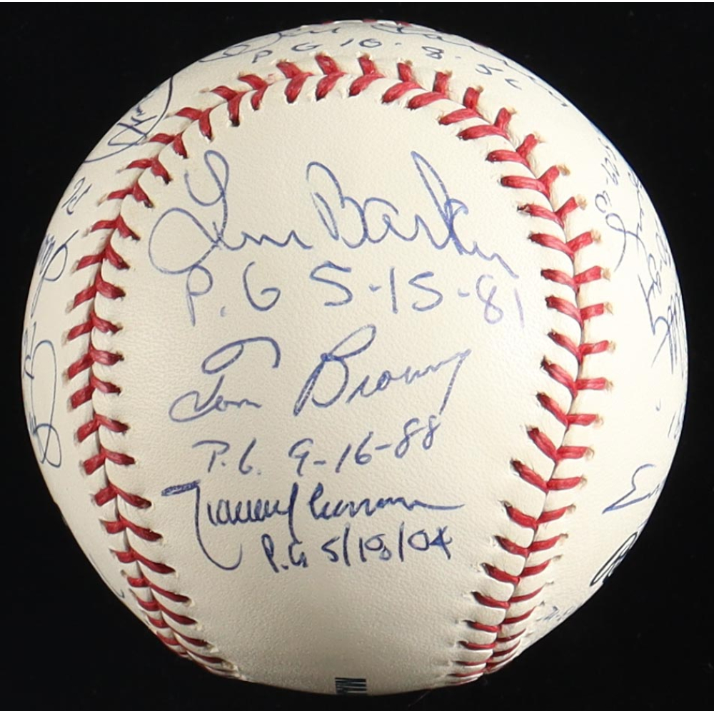 Roy Halladay, Sandy Koufax, Randy Johnson, Don Larsen | Perfect Game ...