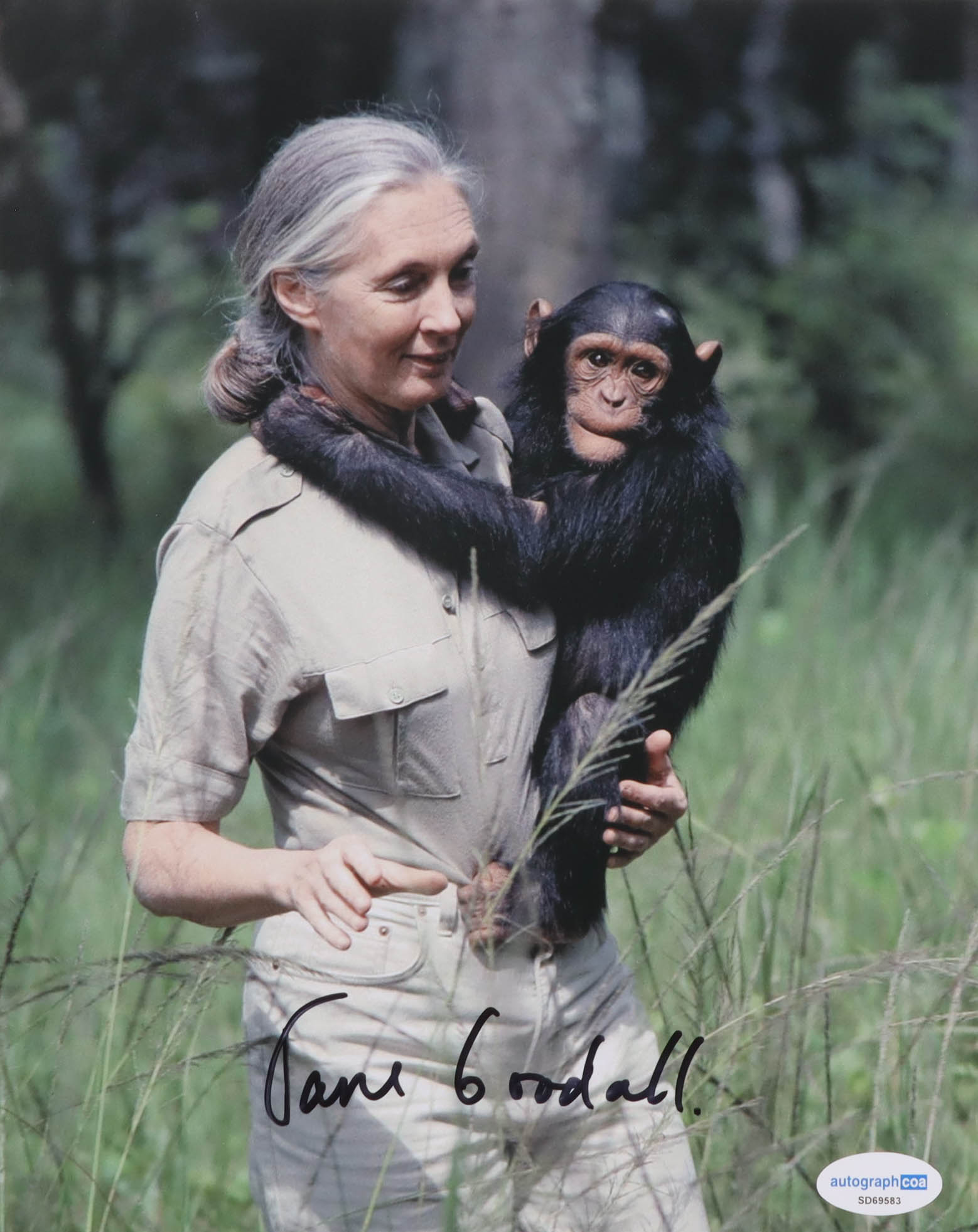 Jane Goodall Signed 8x10 Photo (AutographCOA) | Pristine Auction