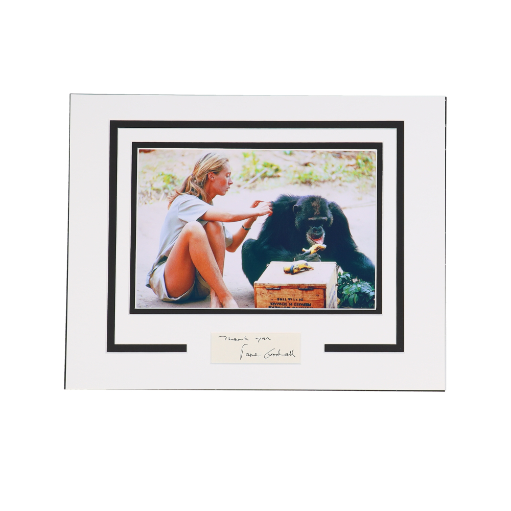Jane Goodall Signed 11x14 Custom Matted Cut Inscribed "Thank You" (ACOA ...