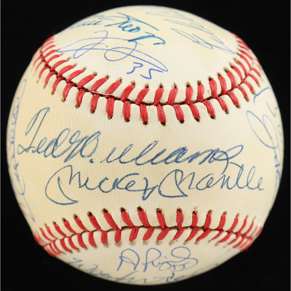 Hank Aaron, Mickey Mantle, Willie Mays, Ted Williams, Ken Griffey Jr ...