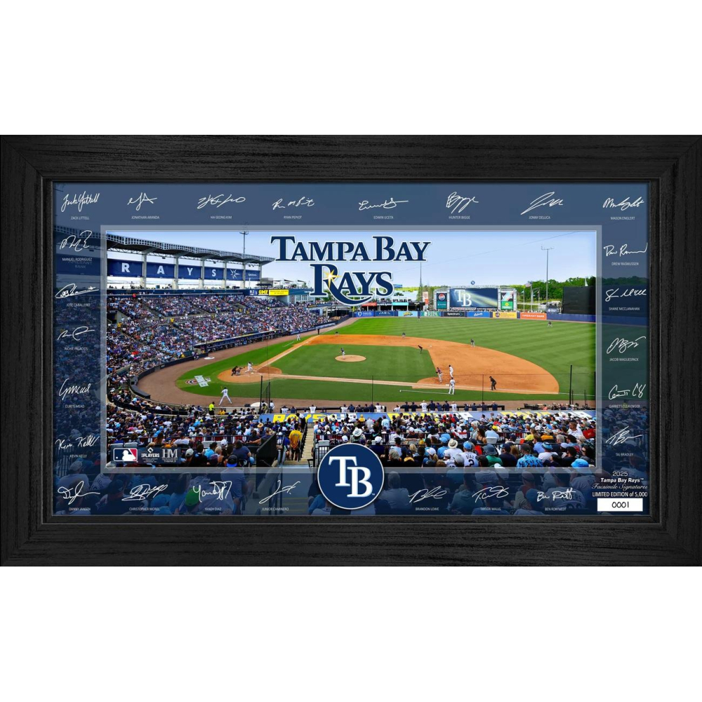 Rays LE 2025 "Signature Field" Custom Framed Photo | Pristine Auction