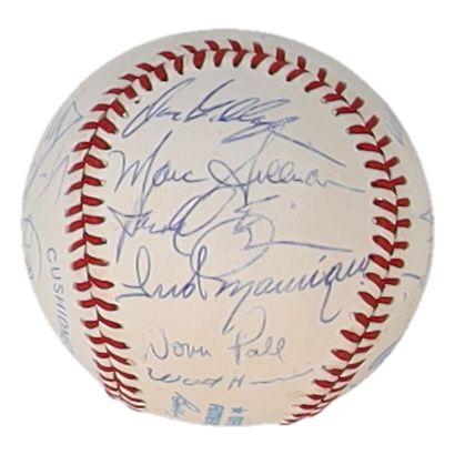 OAL Baseball Signed by (21) with Jeff Torborg, Ron Kittle, Dan Pasqua ...