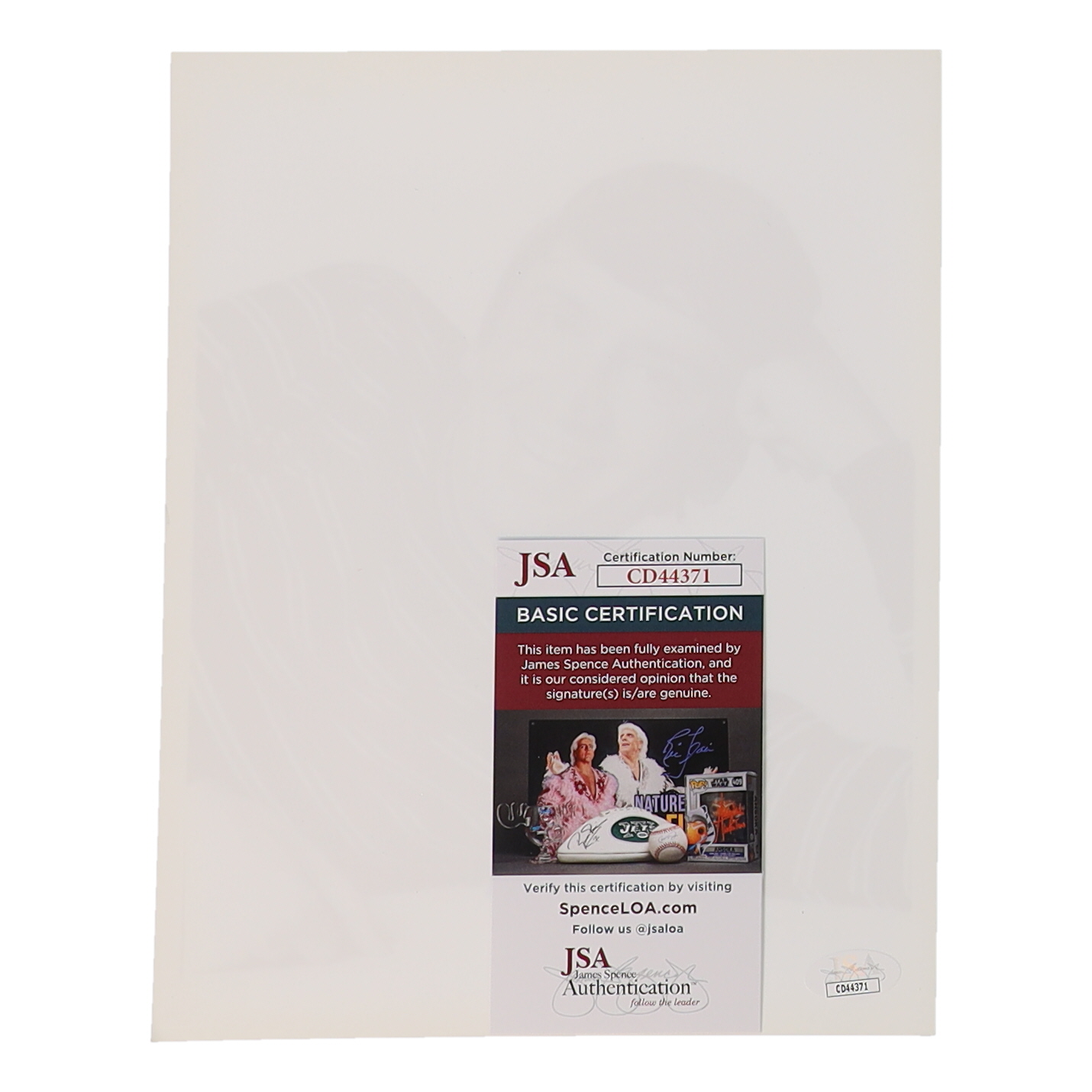 Bob Denver Signed 8x10 Photo (JSA) | Pristine Auction