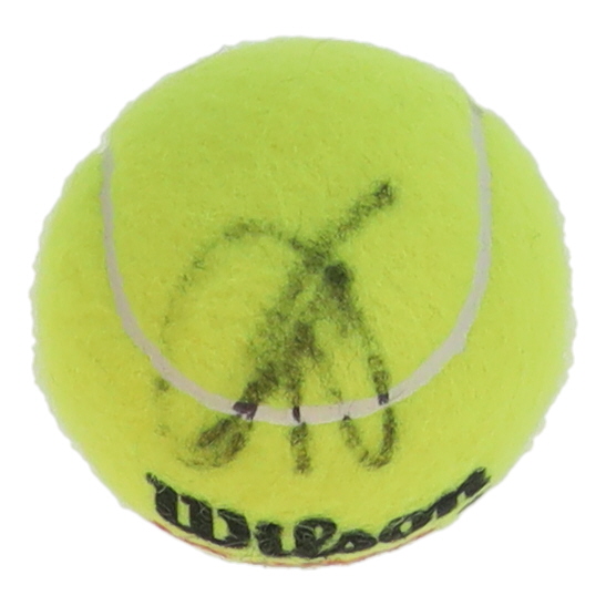 Novak Djokovic Signed Tennis Ball (JSA) | Pristine Auction