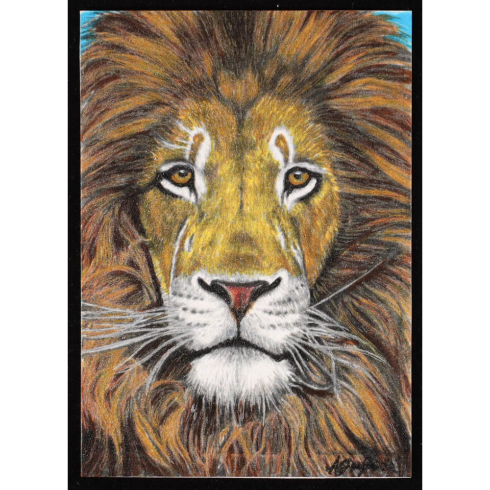 Colored Lion | Anthony Douglas 1/1 Original Art Card | Pristine Auction
