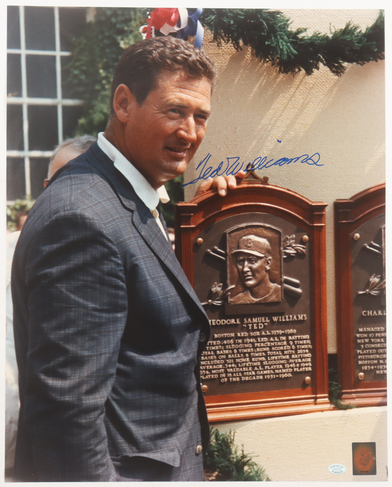 Ted Williams Signed 16x20 Photo (Williams & Stacks of Plaques ...