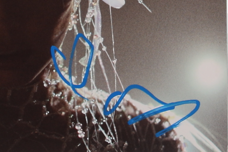 Miley Cyrus Signed "Something Beautiful" Vinyl Album Cover (ACOA ...