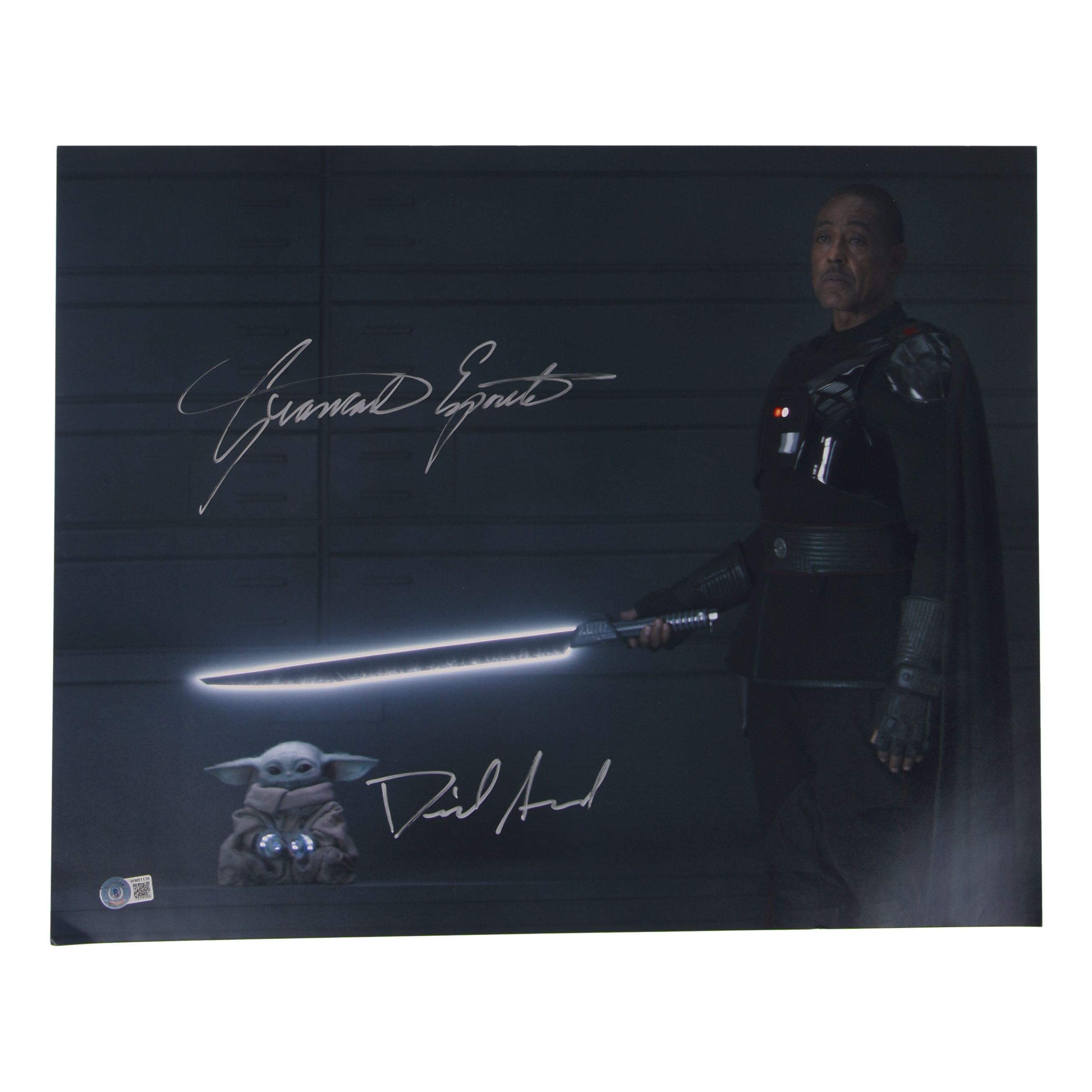 Giancarlo Esposito & David Acord Signed "The Mandalorian" 16x20 Photo ...
