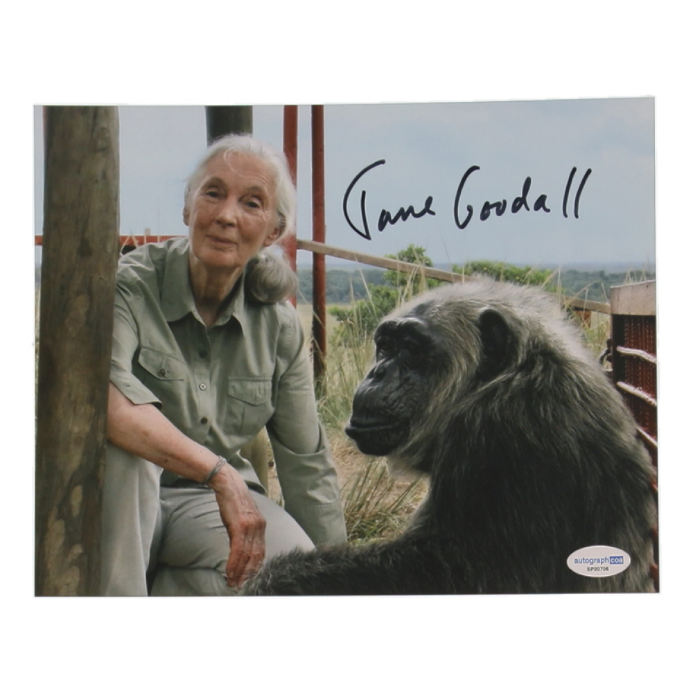Jane Goodall Signed 8x10 Photo (ACOA) | Pristine Auction