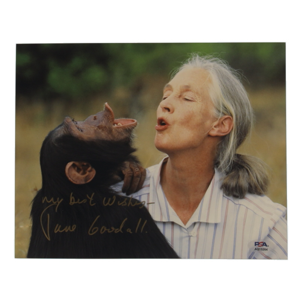 Jane Goodall Signed 8x10 Photo Inscribed "My Best Wishes" (PSA ...