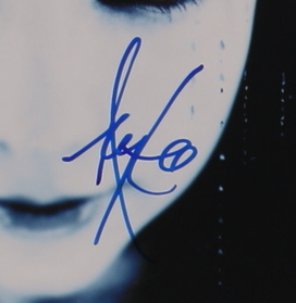 Amy Lee Signed Evanescence "Fallen" Vinyl Record Album Cover (JSA ...