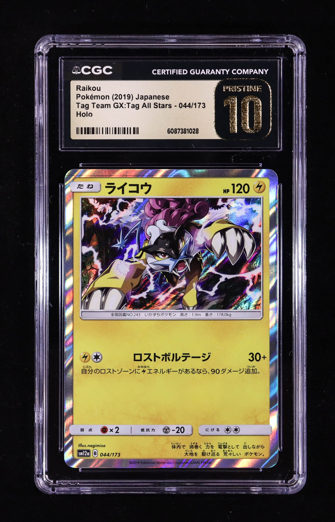 Raikou 2019 Pokemon Sun and Moon High Class Pack TAG TEAM GX Tag All ...