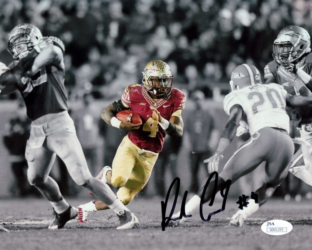 Dalvin Cook Signed Florida State 8x10 Photo (JSA COA) | Pristine Auction