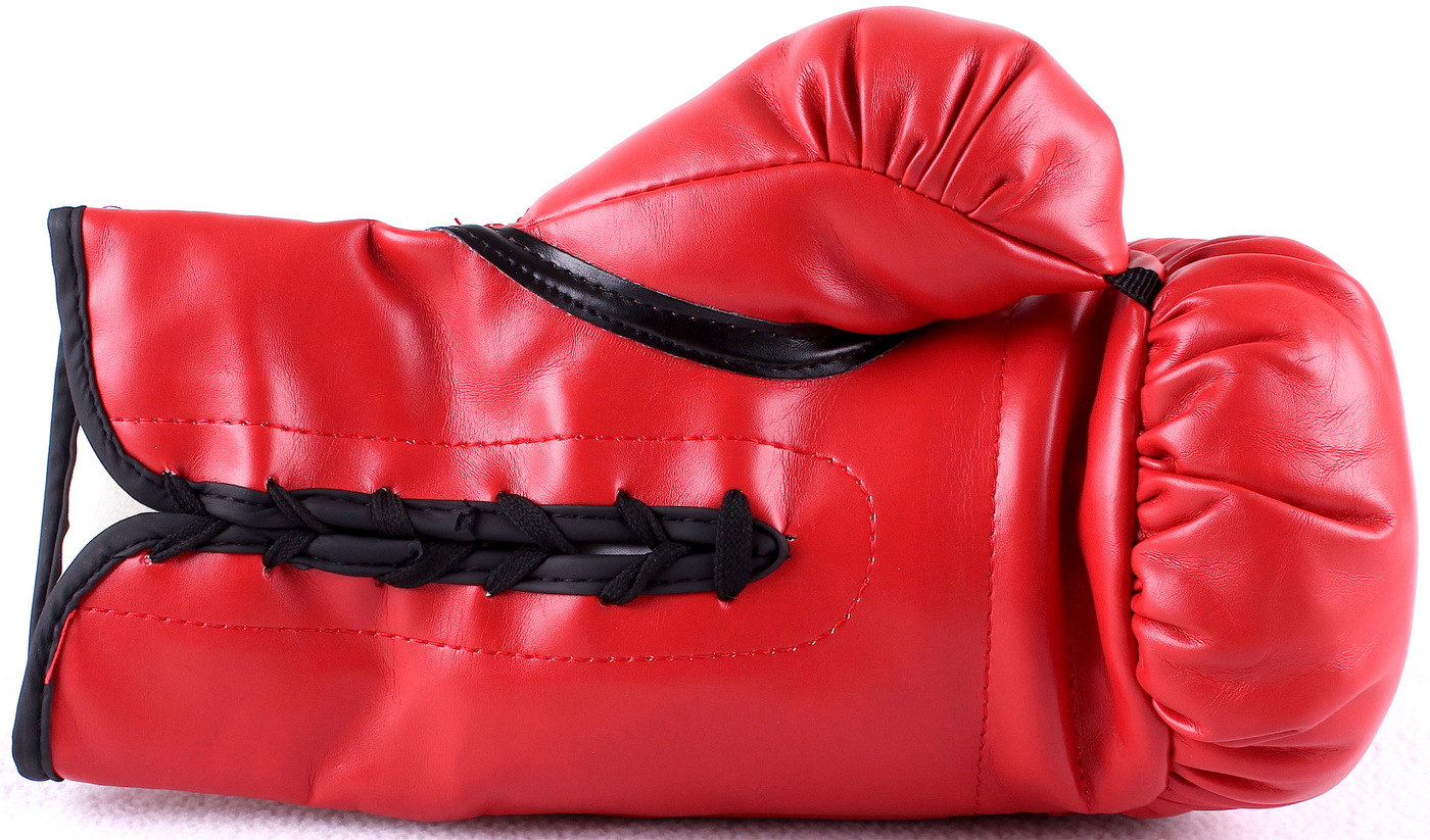 Butterbean Signed Everlast Boxing Glove (JSA COA) | Pristine Auction