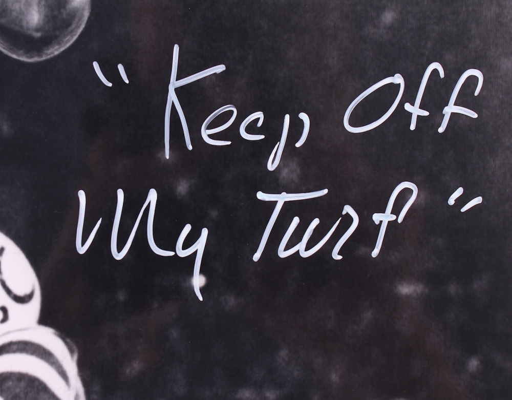 Mike Curtis Signed Colts 16x20 Photo Inscribed "Keep Off My Turf" (JSA ...