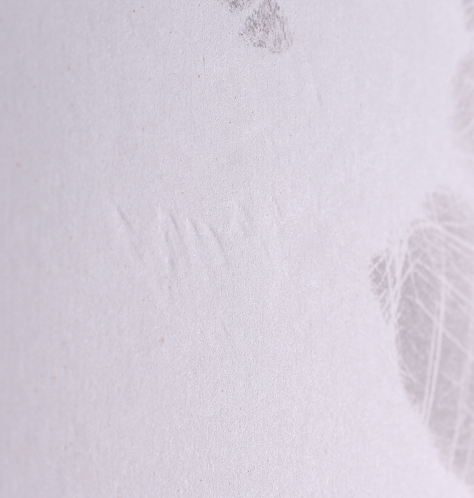 Frank Gifford Signed Limited Edition 9x10 Original Handprint #760/1000 ...