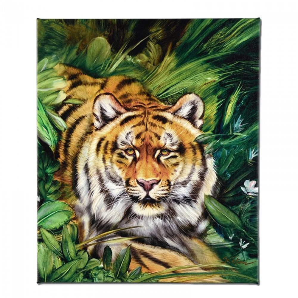 Martin Katon Signed "Tiger Surprise" Limited Edition 16x20 Giclee on ...