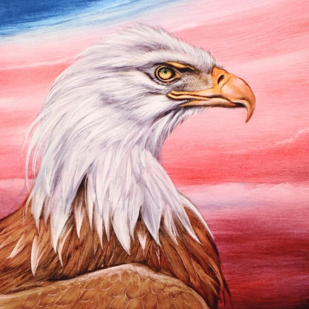 Martin Katon "The Eagle" Signed Limited Edition 16x20 Giclee on Canvas ...
