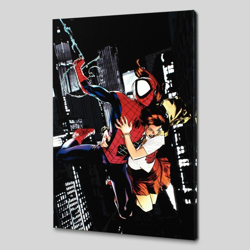 "Ultimatum: Spider-Man Requiem #1" LE 18x27 Giclee on Canvas by Stuart ...