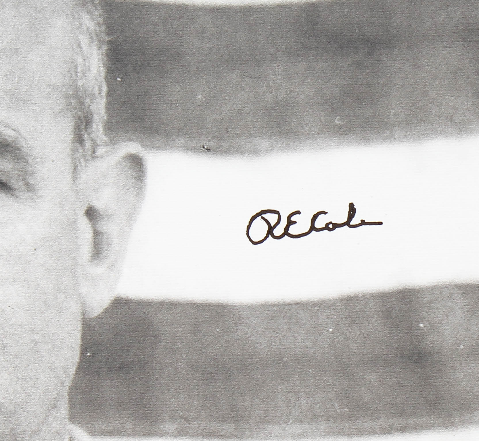 Richard E. Cole Signed 18x24 Gallery Stretched Photo on Canvas (PSA COA ...