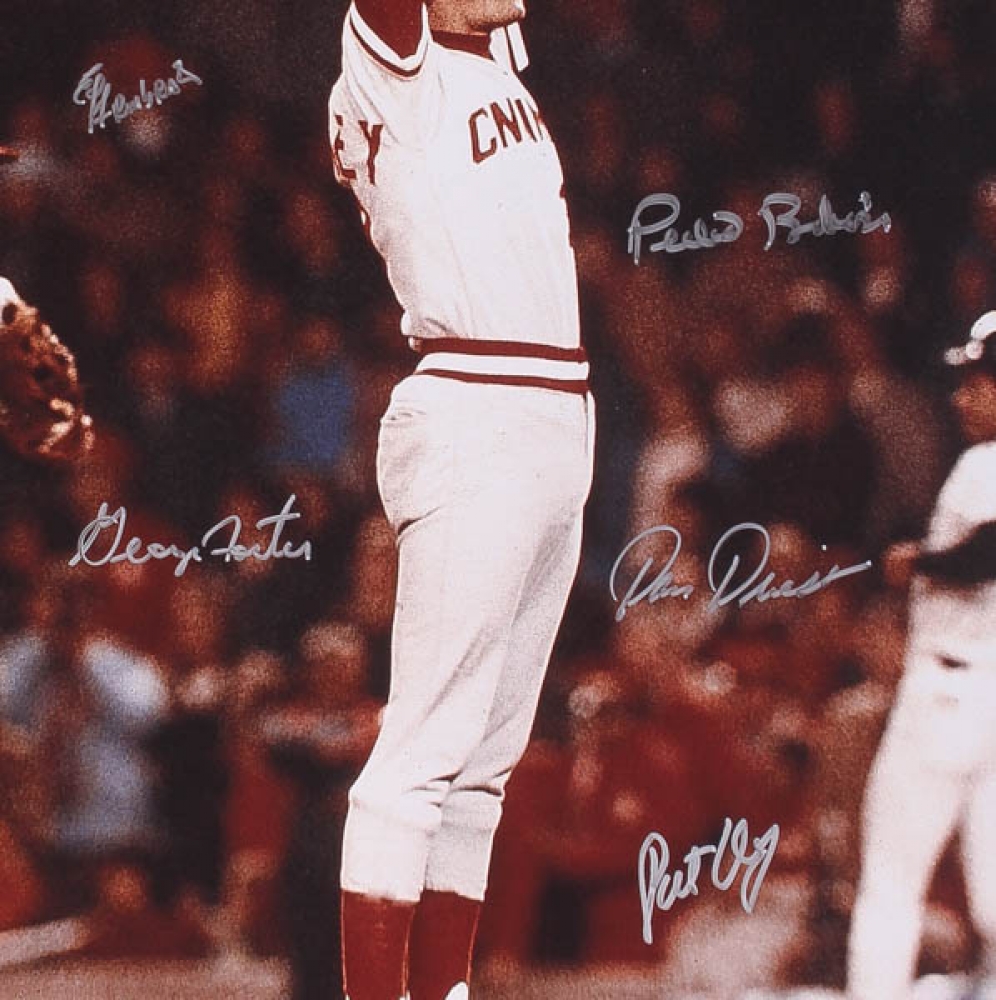 Multi-signed Reds 16x20 Photo with (9) Signatures Including Pedro ...