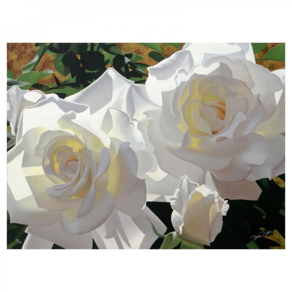 Brian Davis Signed "White Radiant Roses"LE 30x40 Giclee on Canvas ...