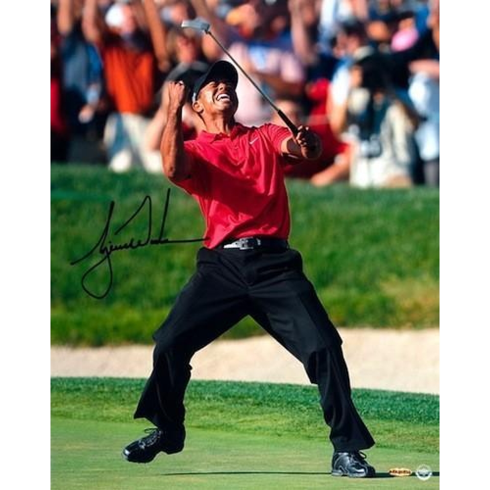 Tiger Woods Signed 2008 US Open "Celebration" 16x20 Photo (UDA COA ...