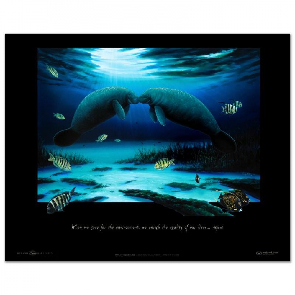 Wyland 24x19 "Manatee Encounter" Poster | Pristine Auction
