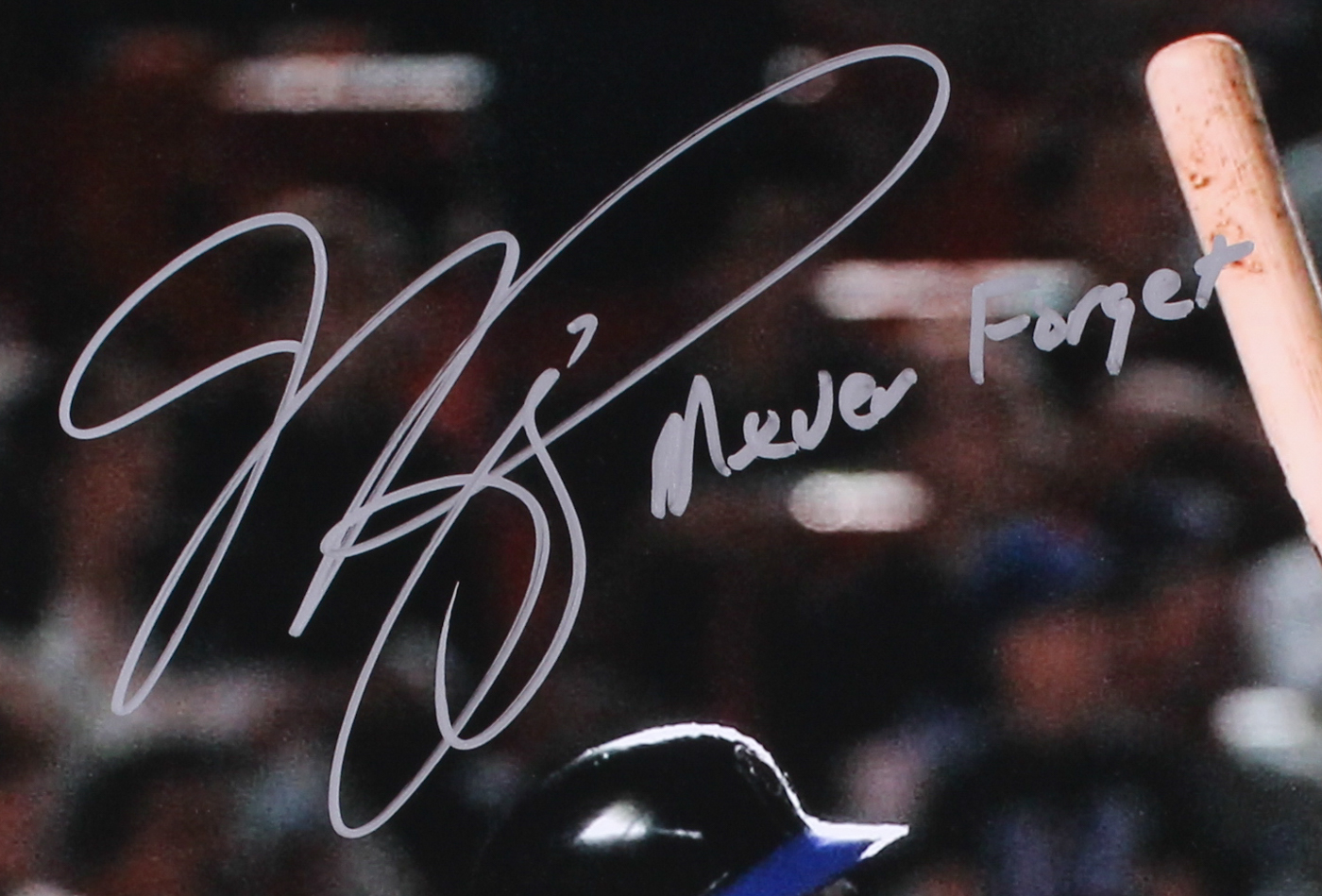 Mike Piazza Signed Mets 16x20 Photo Inscribed "Never Forget" (PSA COA ...