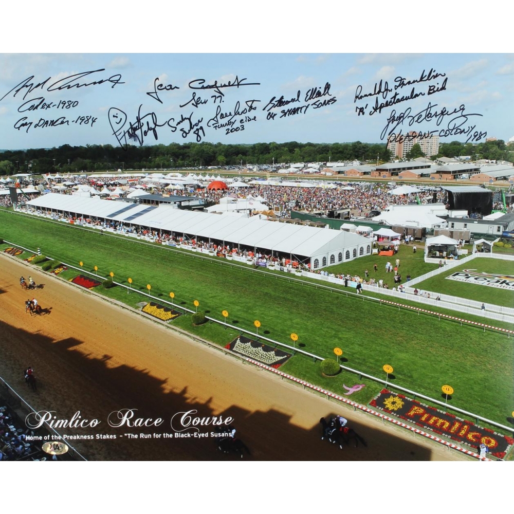 Pimlico Race Course 16x20 Photo Signed by (8) Jockeys Including Stewart ...
