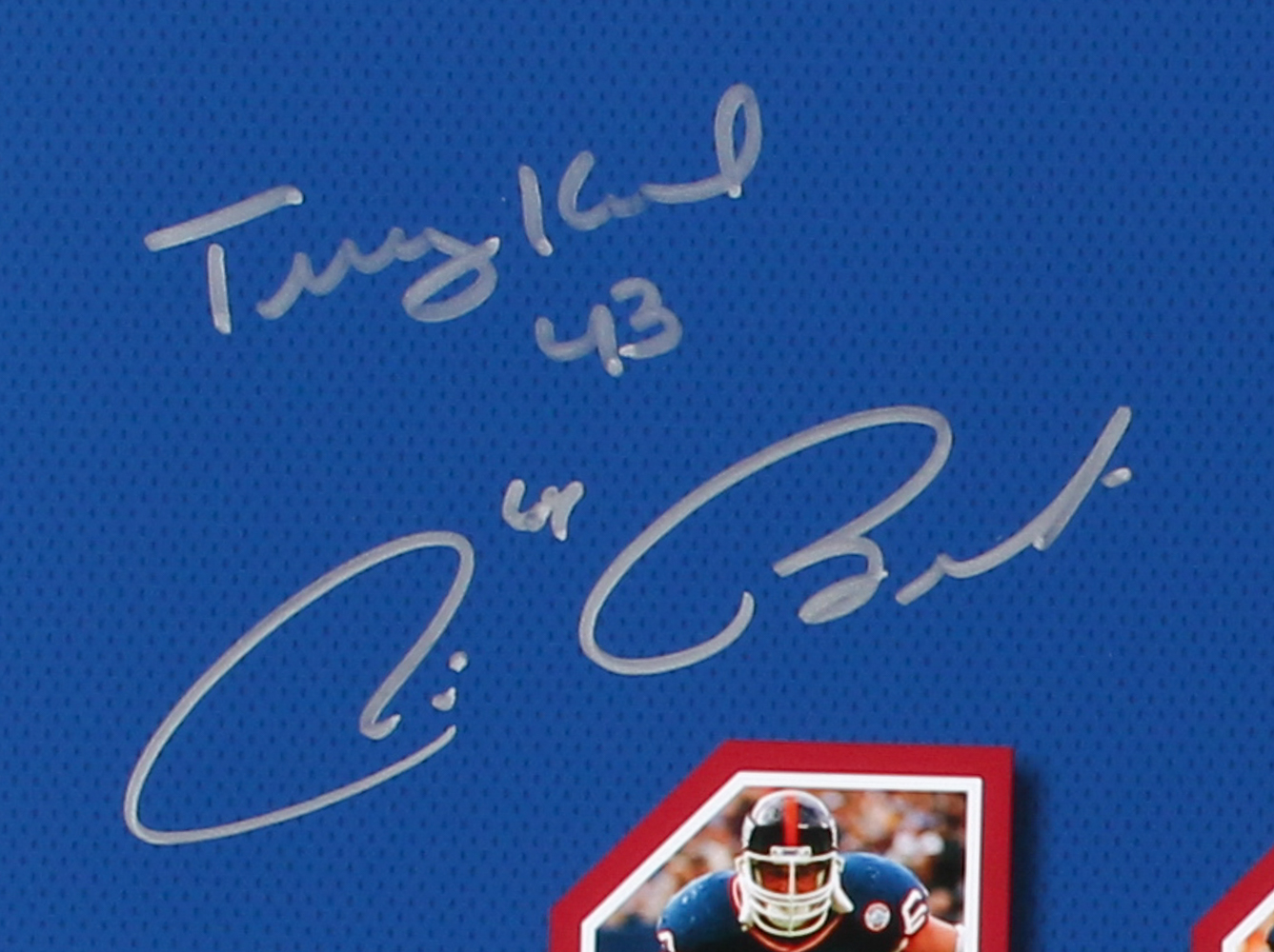 1986 Giants Super Bowl XXI Champions 16x20 Photo Team Signed by (16 ...