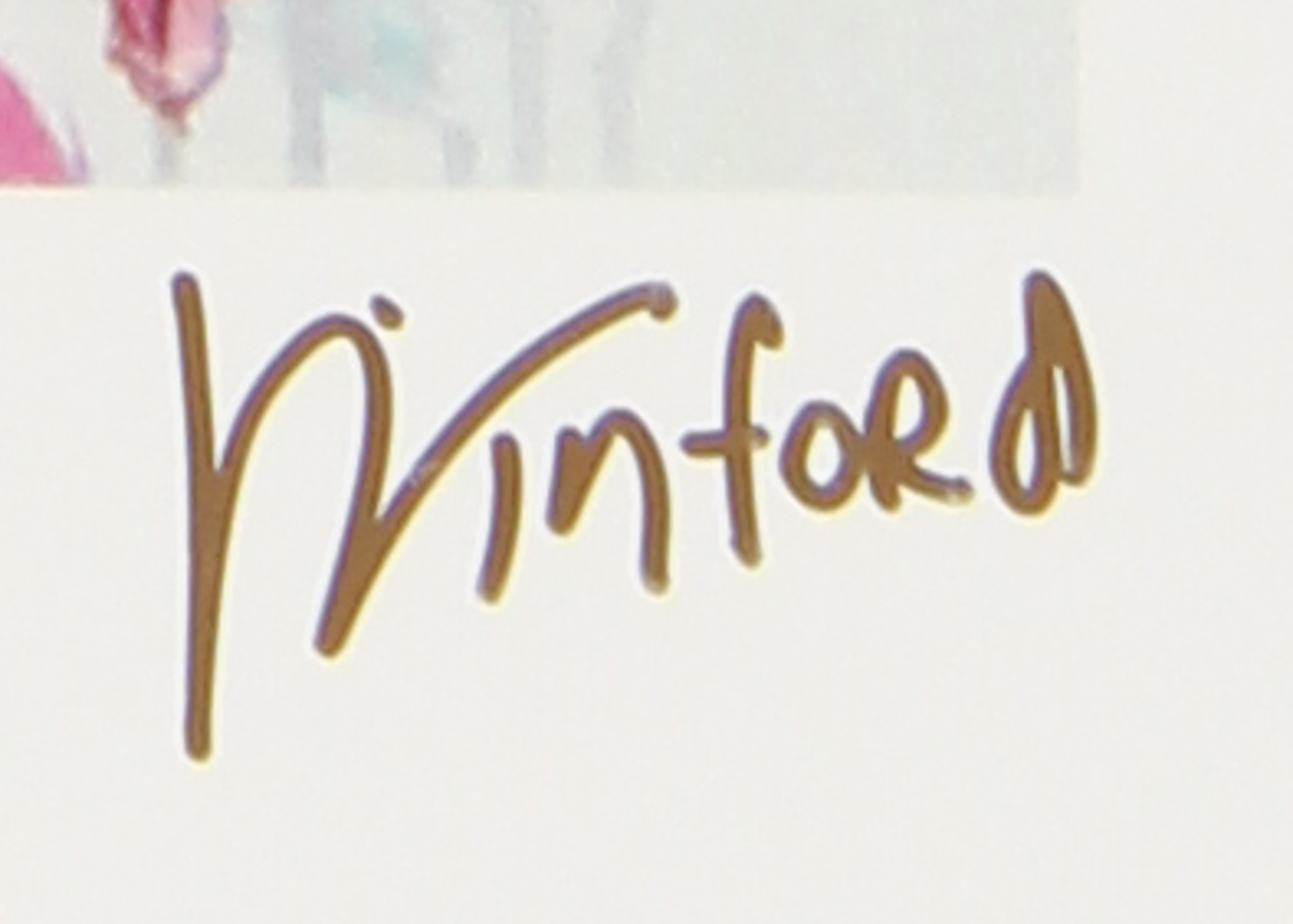 Michael Jordan 11x17 "Slam Dunk" Signed Winford Lithograph (Winford COA ...